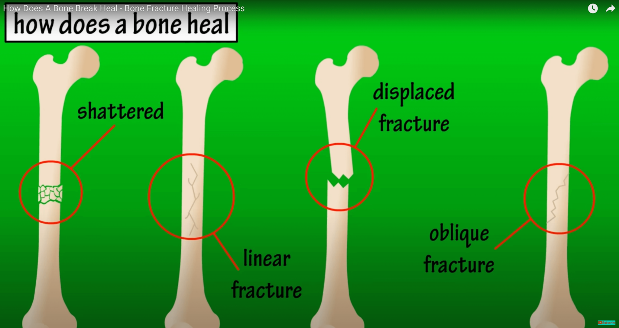 Knowledge Sharing Center - OrthoTreat