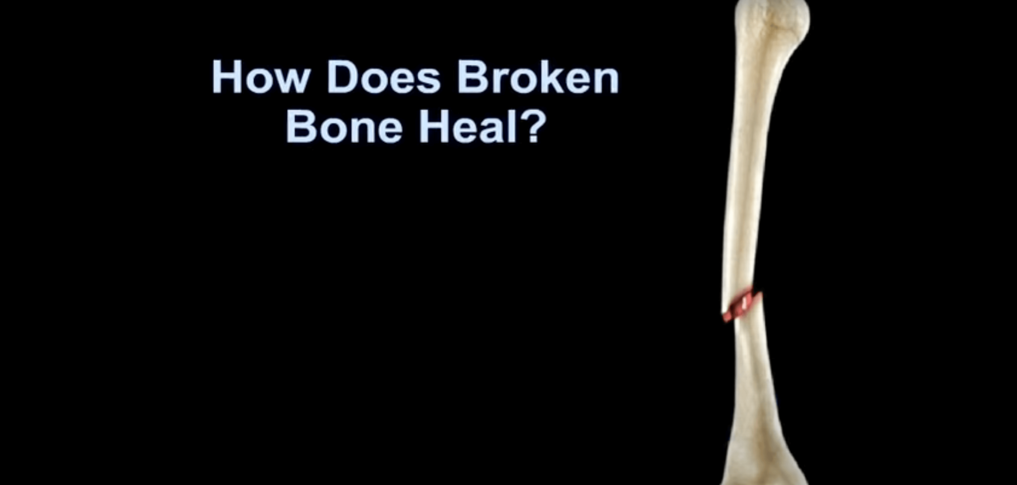 Knowledge Sharing Center - OrthoTreat